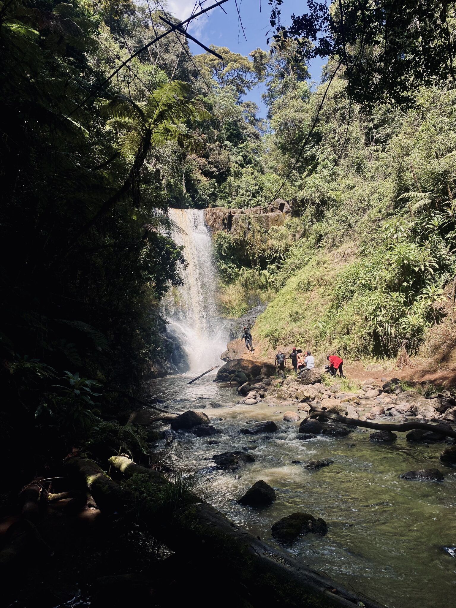 Kieni Forest & Waterfall Chase – Avi Expeditions